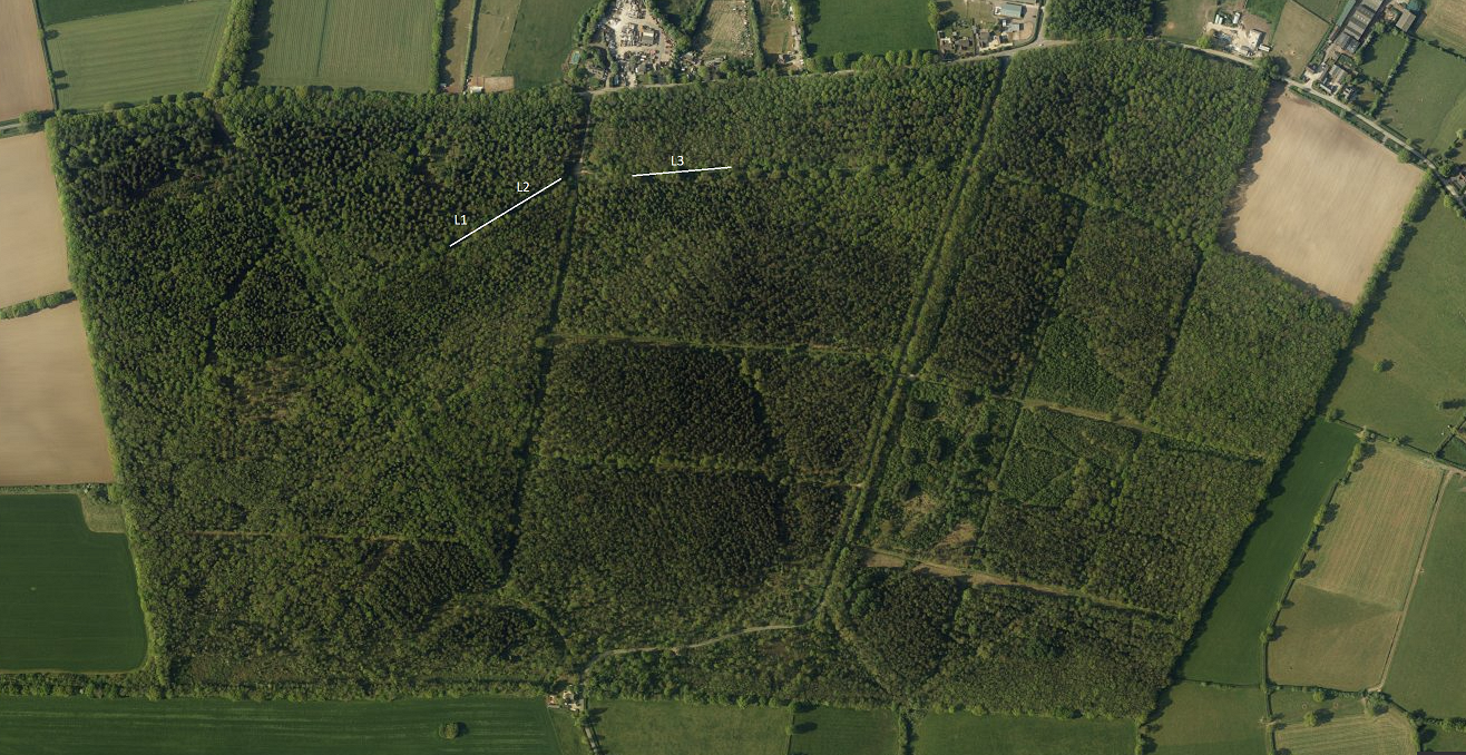 A Different Somerford Common: Sunday, 20th December 2020 – Ringing In ...