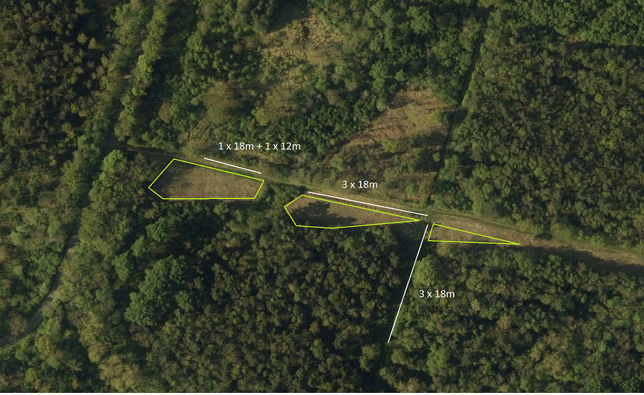 Somerford Common: Saturday, 12th June 2021 – Ringing In The Braydon ...