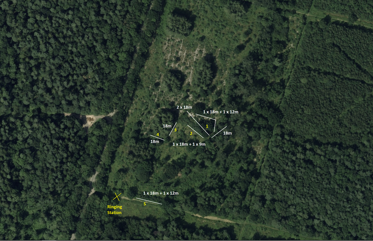 Somerford Common: Saturday, 22nd January 2022 – Ringing In The Braydon ...