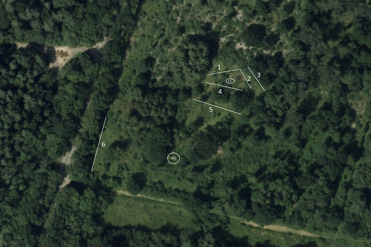 Ringing Demonstration @ Somerford Common: Saturday, 5th March 2022 ...