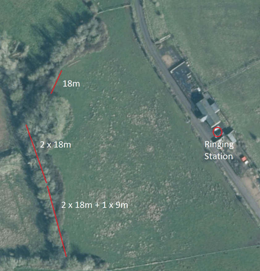 Blakehill Farm: Tuesday, 25th October 2022 – Ringing In The Braydon ...