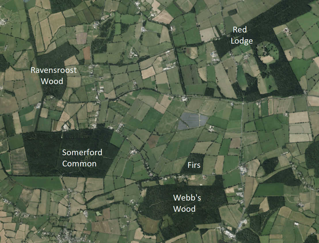 Braydon Forest: 10 Years of Ringing – Ringing In The Braydon Forest ...