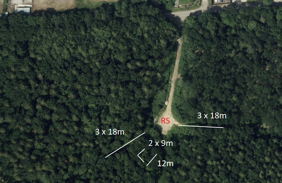 Somerford Common West: Saturday, 4th February 2023 – Ringing In The ...