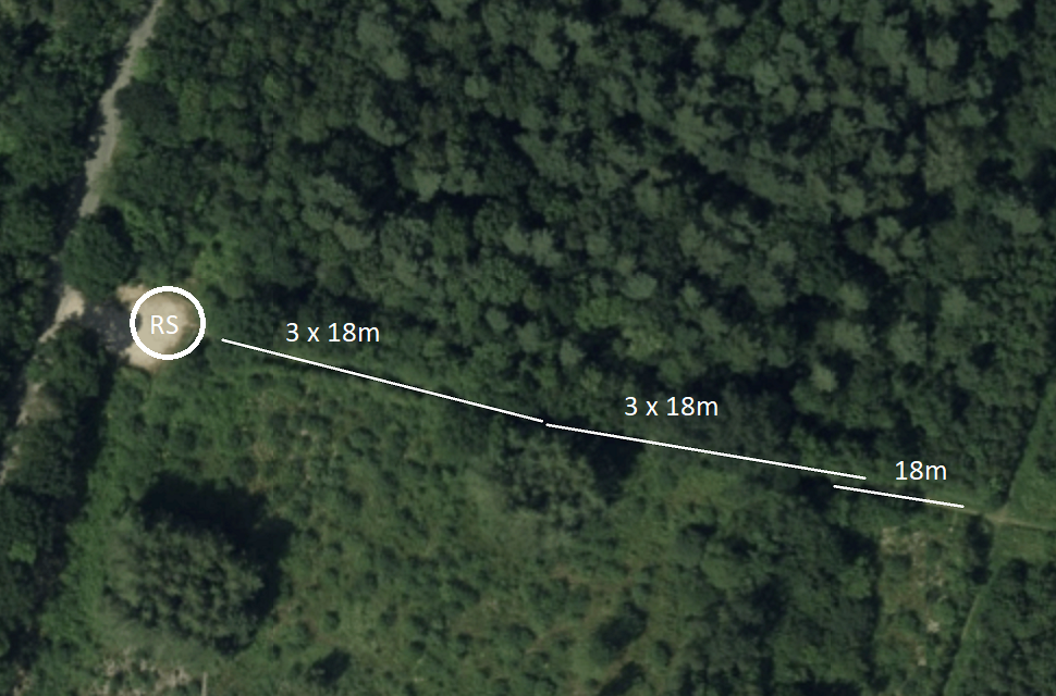 Somerford Common: Saturday, 24th June 2023 – Ringing In The Braydon ...
