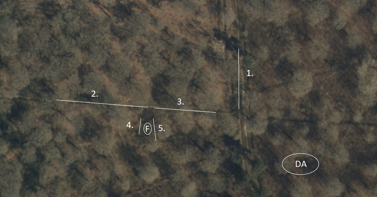 Ringing Demo: Ravensroost Wood, Saturday, 24th February 2024 – Ringing ...