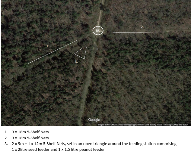 Somerford Common West, Saturday, 16th March 2024: is it Spring yet ...