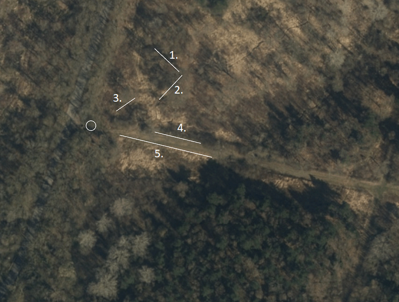 Short But Sweet: Somerford Common; Saturday, 8th June 2024 – Ringing In ...