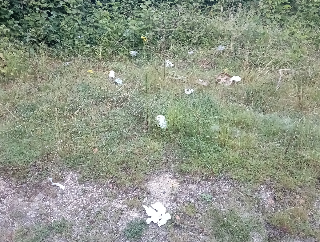 Lower Moor Farm, CES 9: Wednesday, 24th July 2024 – Ringing In The ...