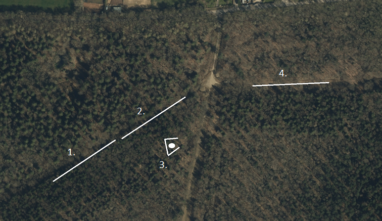 Swamped: Somerford Common West, Saturday, 25th January 2025 – Ringing ...