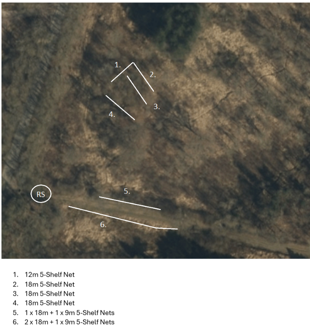 Somerford Common: Saturday, 1st March 2025 – Ringing In The Braydon ...