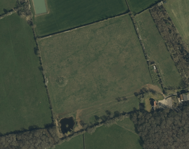 Gospel Oak Farm: Thursday, 17th April 2025 – Ringing In The Braydon ...