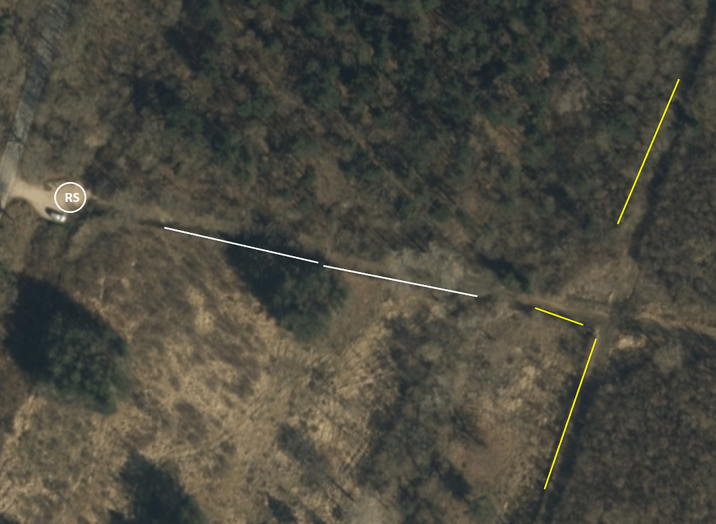 Somerford Common: Sunday, 20th April 2025 – Ringing In The Braydon ...