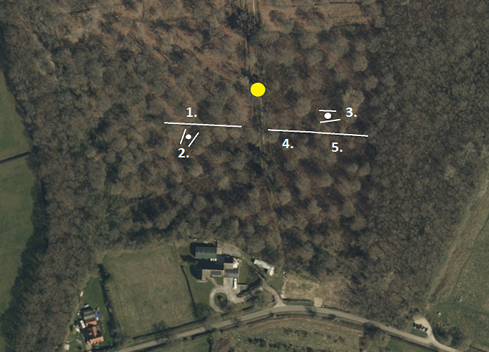 Spring has Sprung: Ravensroost Wood, Sunday, 6th April 2025 – Ringing ...