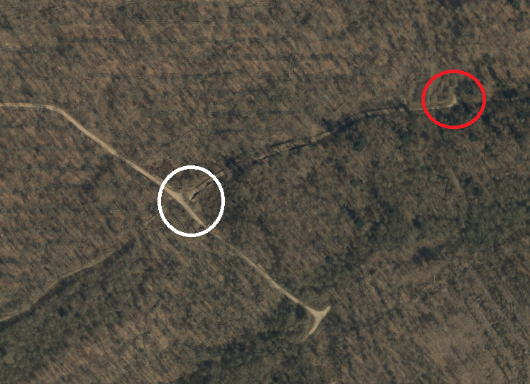 That’s Better: Webb’s Wood, Wednesday, 9th April 2025 – Ringing In The ...