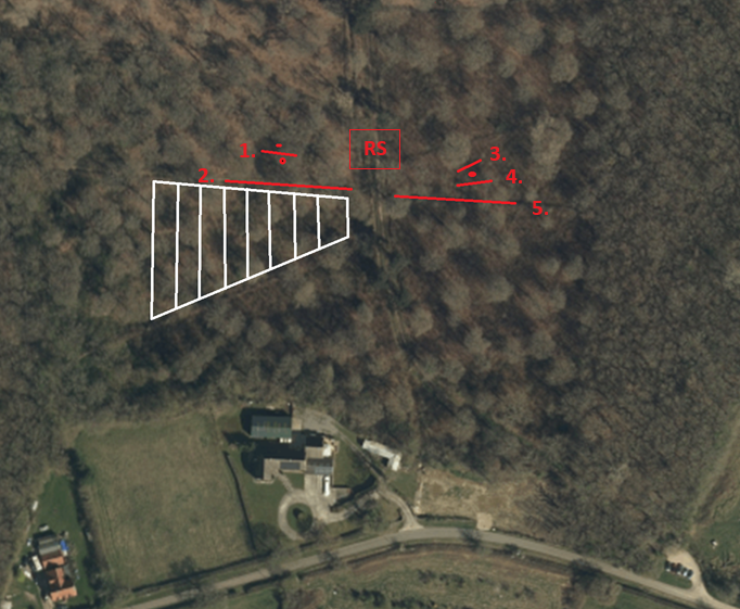 Ravensroost Wood: Saturday, 8th November 2025 – Ringing In The Braydon ...